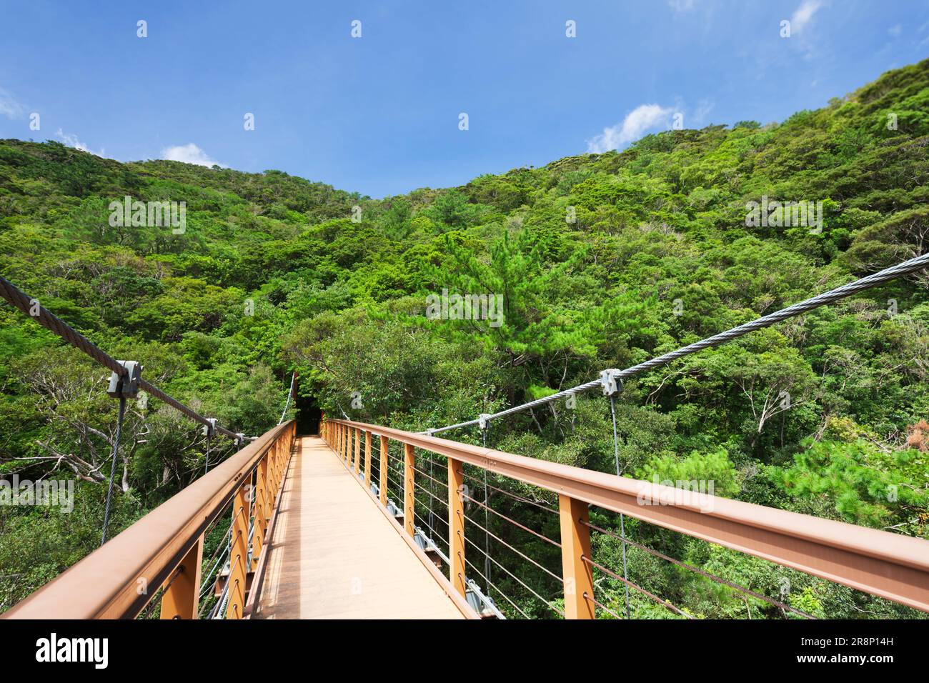 Yanbaru no mori hi-res stock photography and images - Alamy