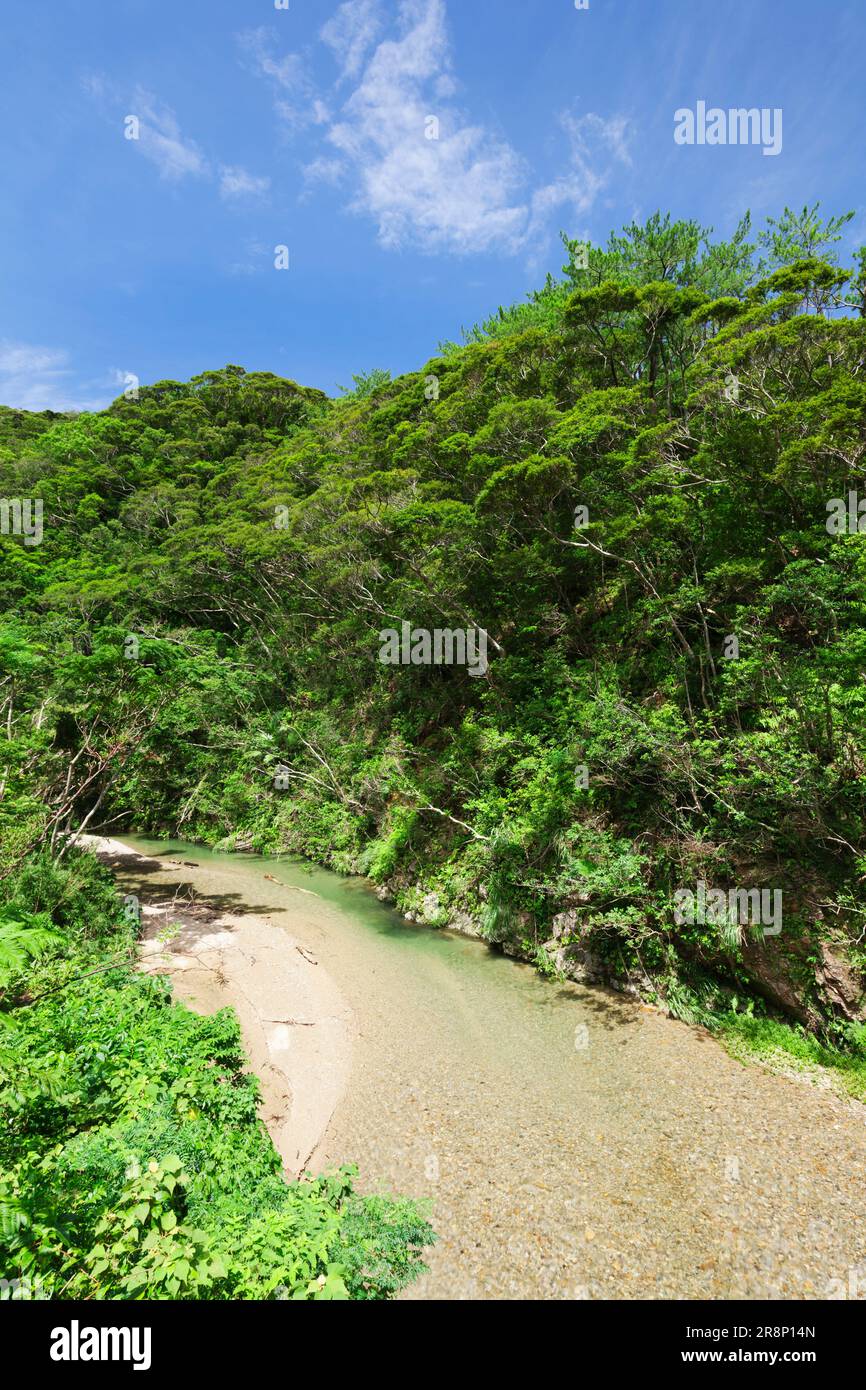 Yanbaru no mori hi-res stock photography and images - Alamy