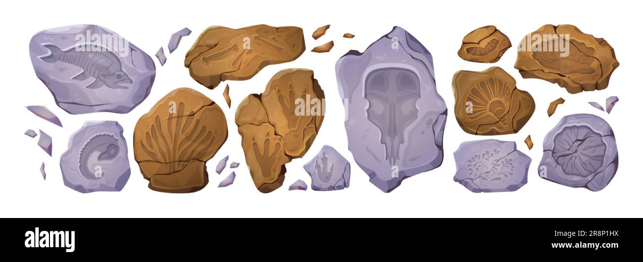 Prehistory ancient stone fossil footprint vector. Dinosaur skeleton ...