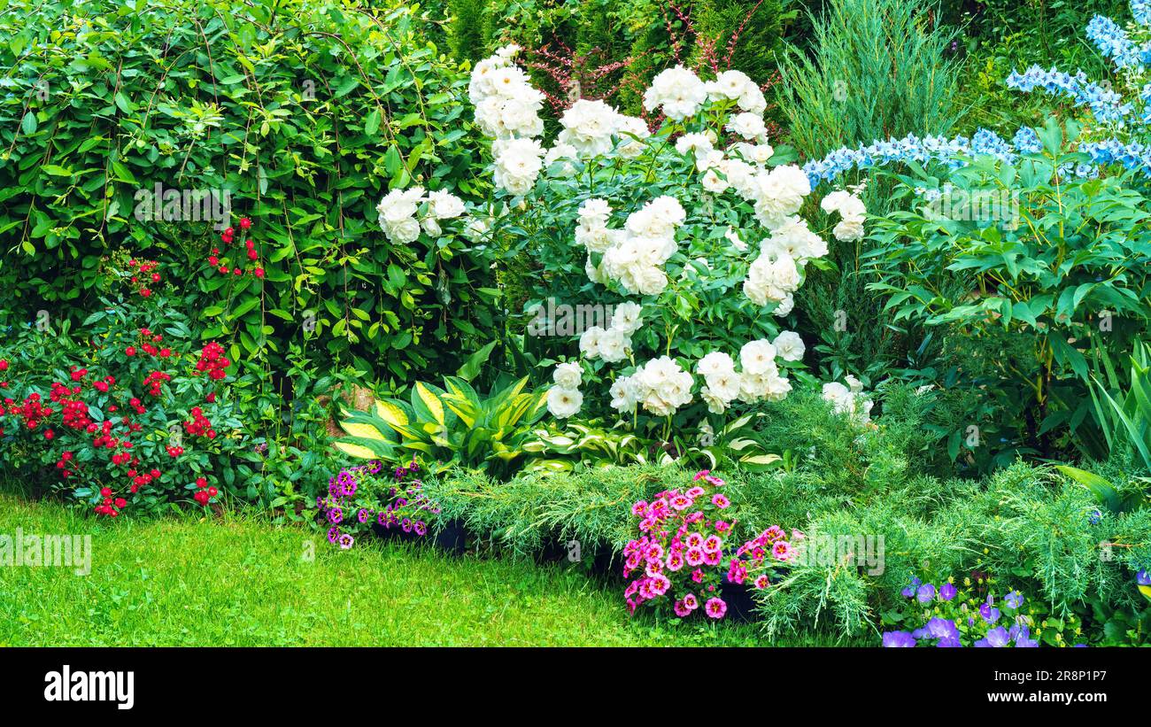 Mixed border ideas for a garden with your own hands. Beautiful ...