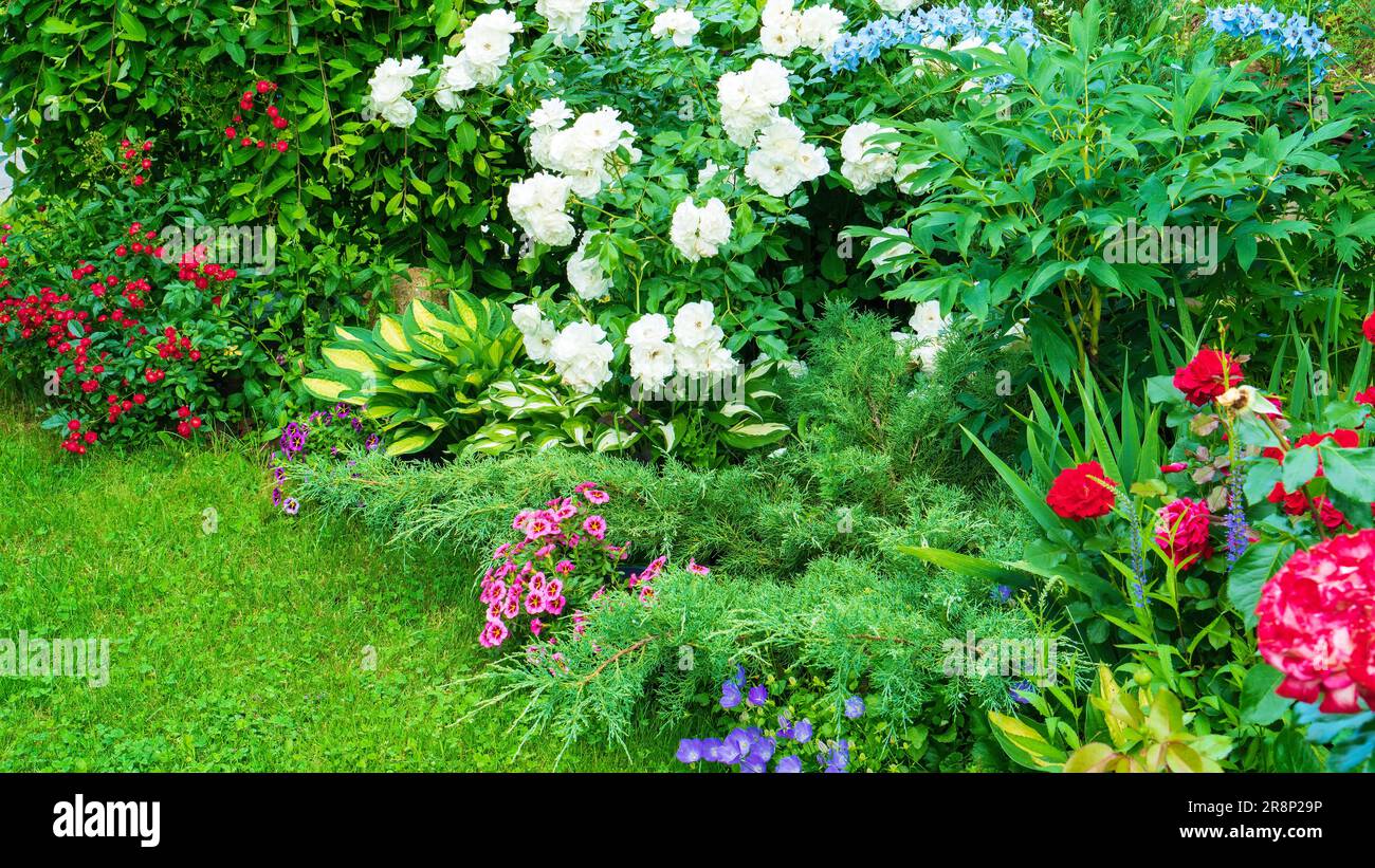 Mixed border ideas for home flower garden. Beautiful flower garden with ...