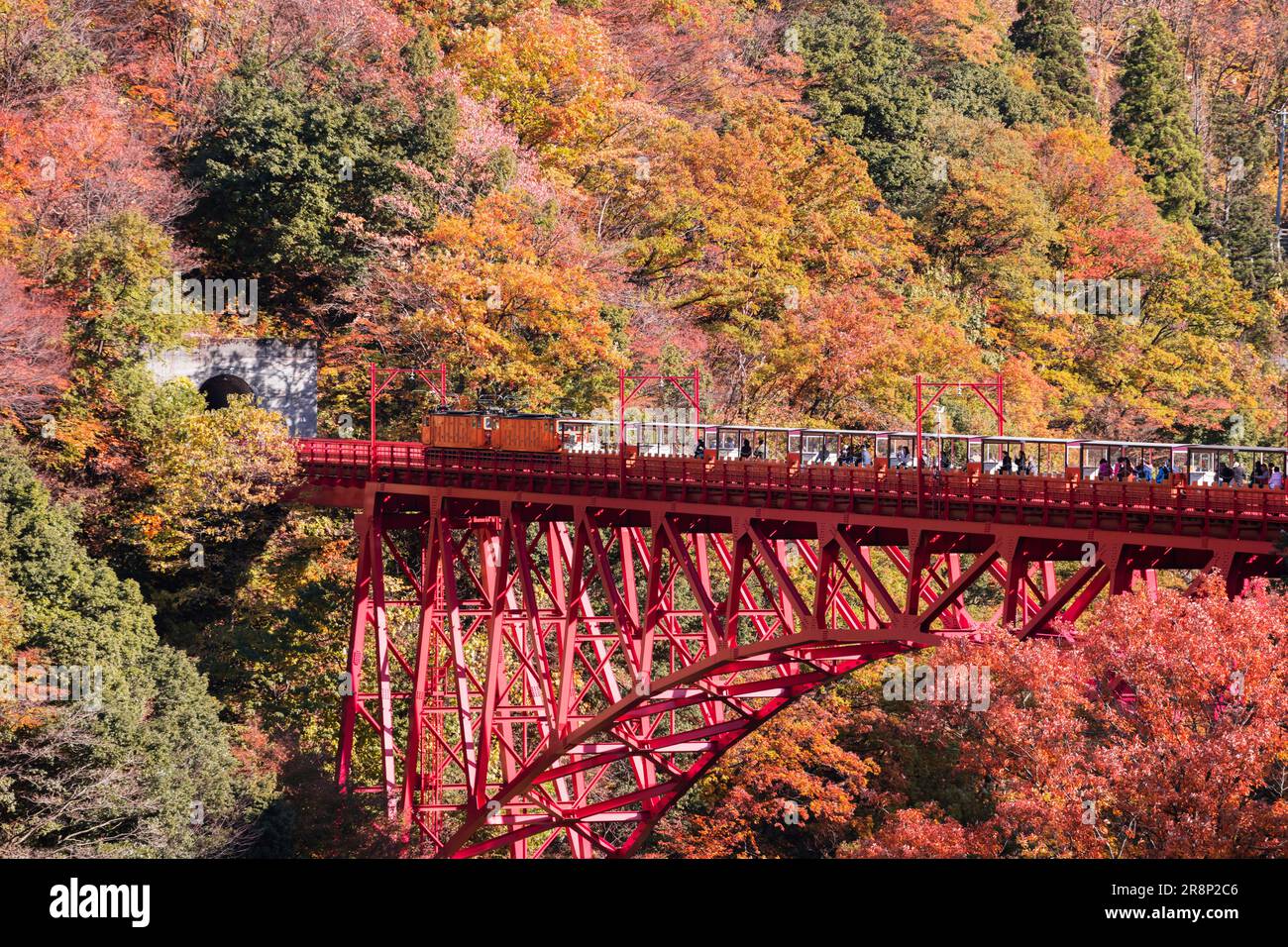 Kurobe Gorge Railway Stock Photo - Alamy