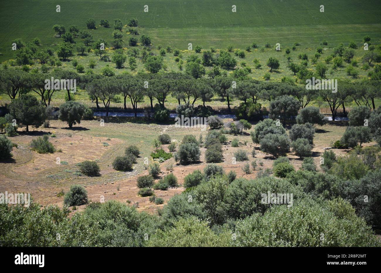 Scenic rural landscape in the countryside of Agrigento in Sicily, Italy ...
