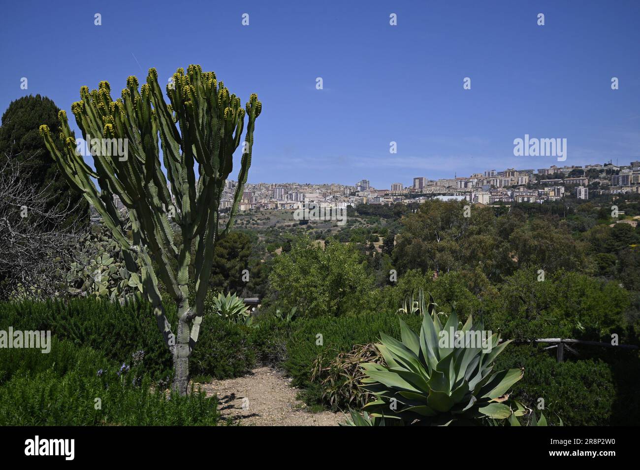 Landscape with panoramic view of Agrigento a town of the ancient Magna ...