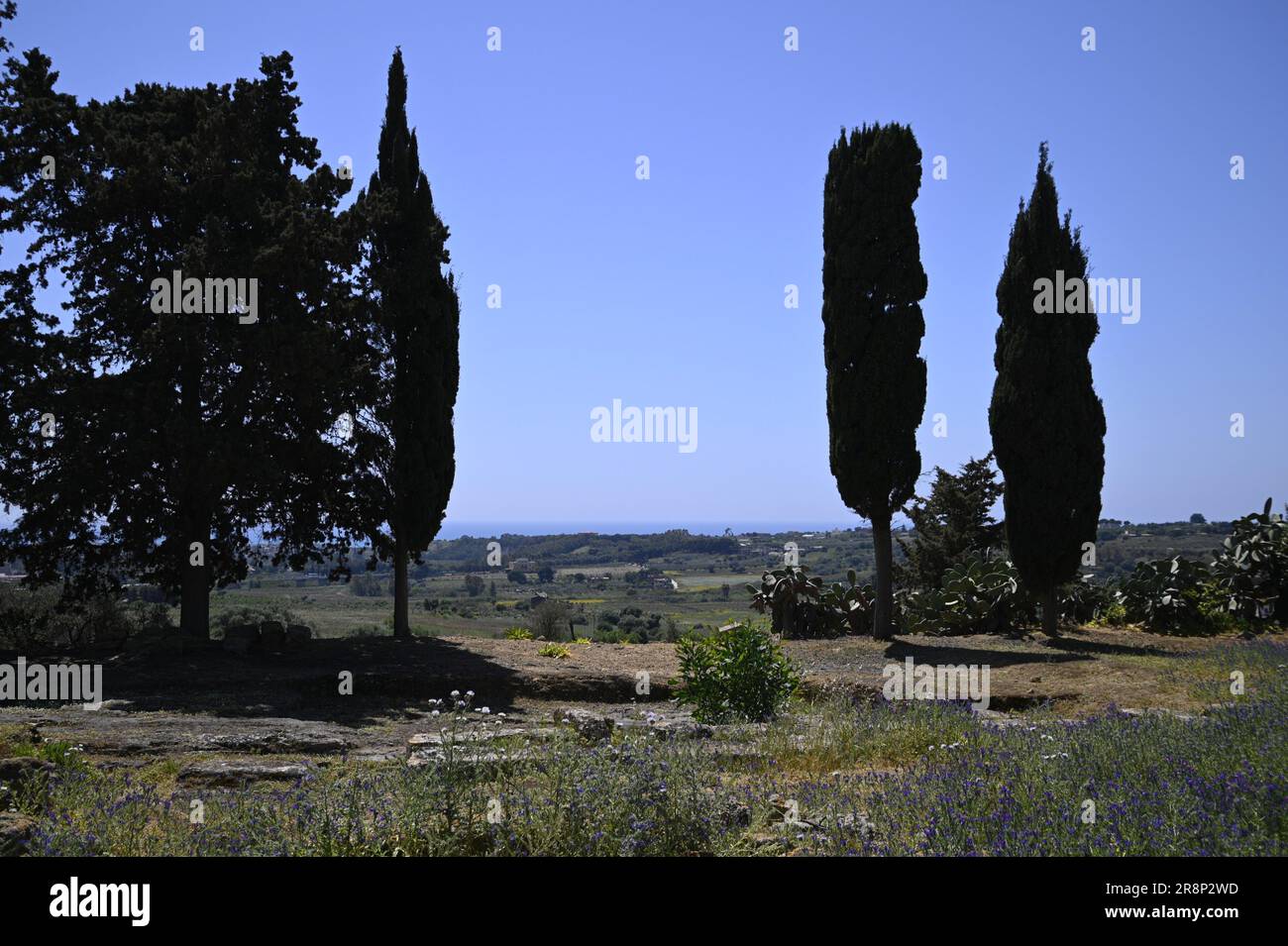 Scenic rural landscape in the countryside of Agrigento in Sicily, Italy ...
