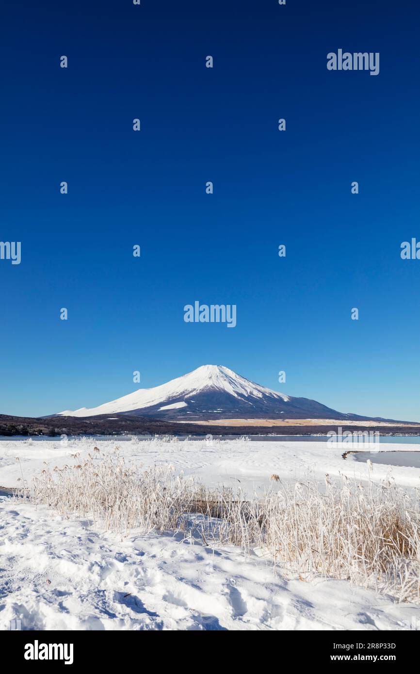 Mt. Fuji in Winter Stock Photo - Alamy
