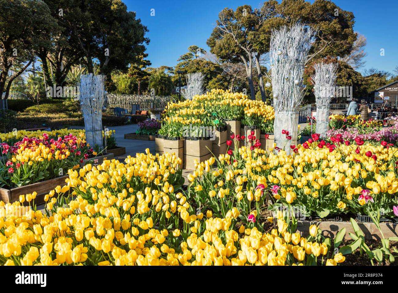Enoshima samuel cocking park hi-res stock photography and images - Alamy