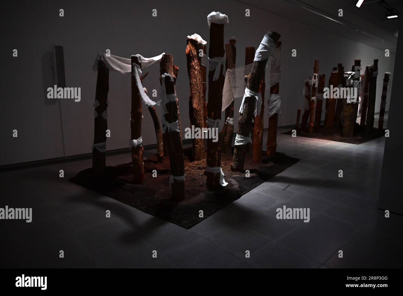 Third World: The Bottom Dimension is a journey into a fantastical and ...