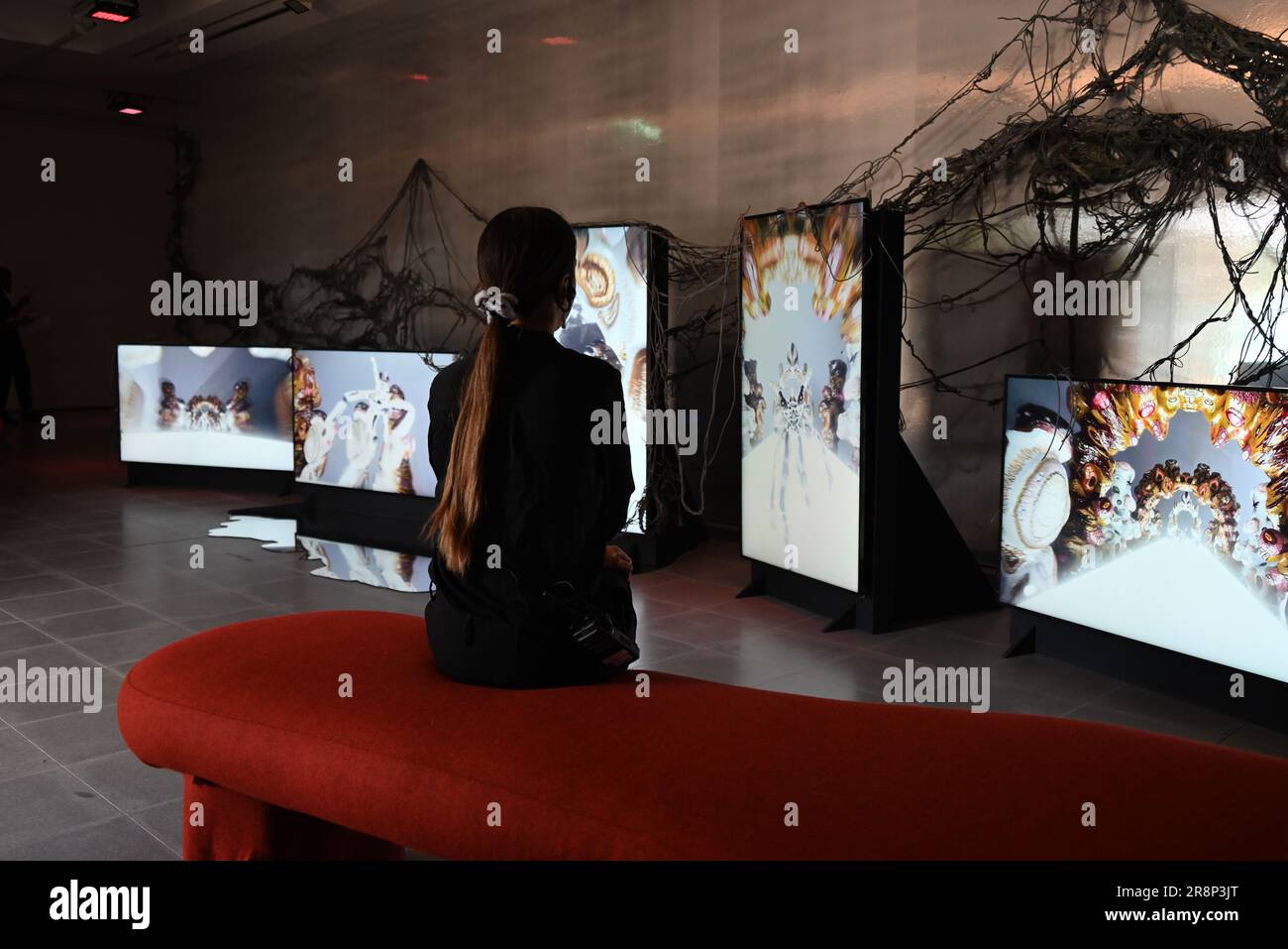 Third World: The Bottom Dimension is a journey into a fantastical and ...