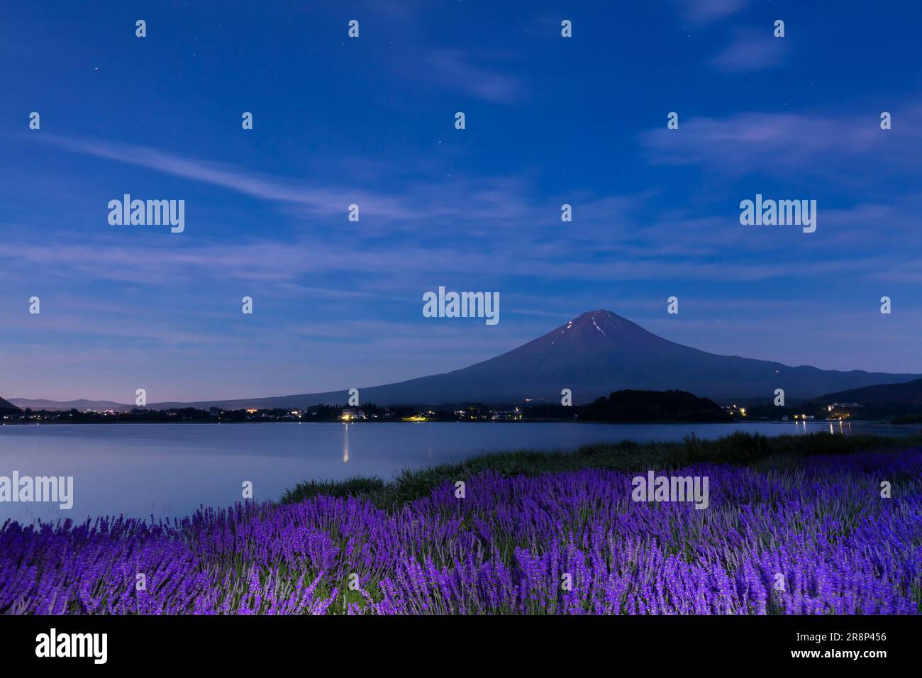 Lavender glow hi-res stock photography and images - Alamy