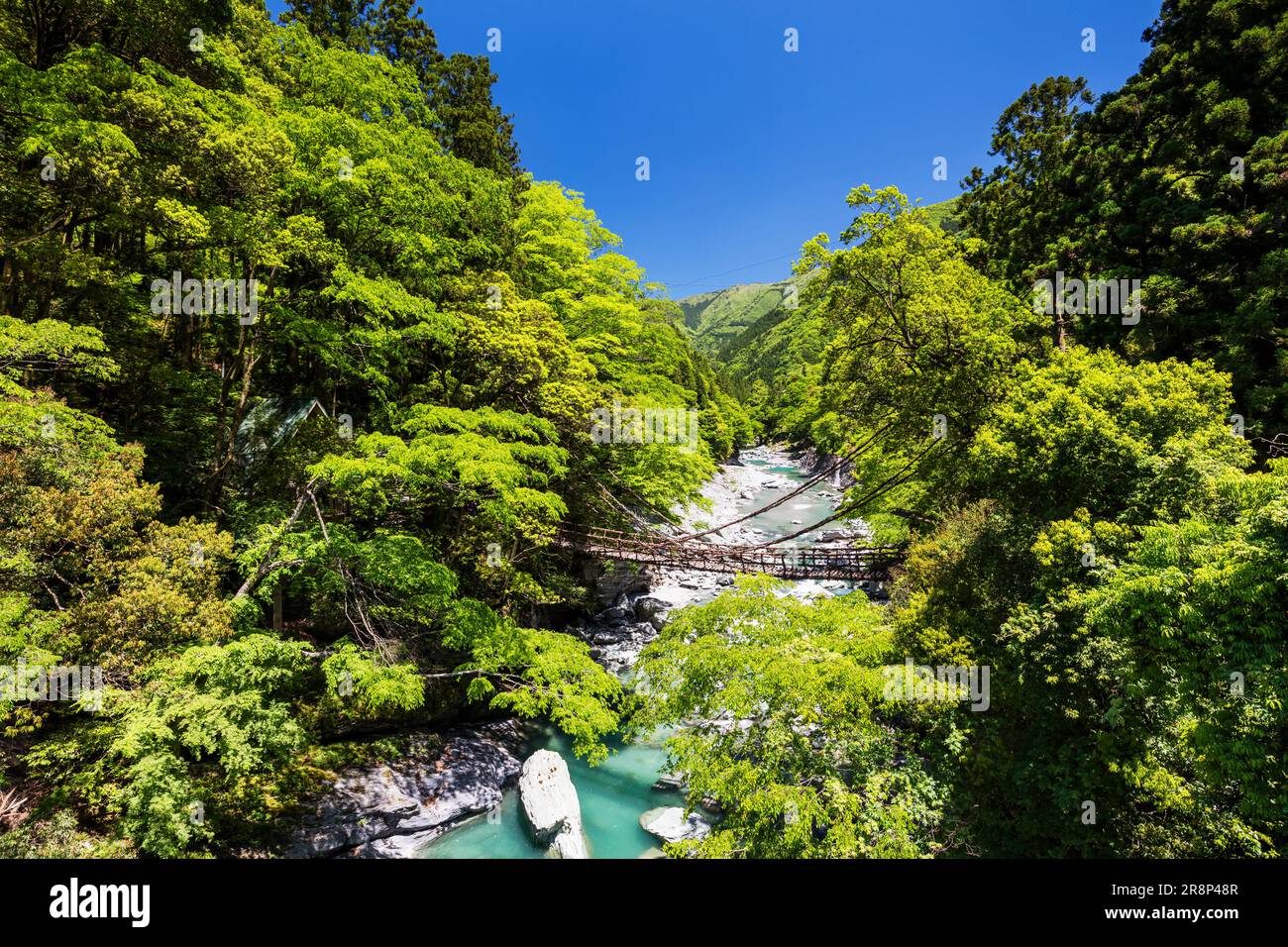 Iya kazurabashi bridge – japan hi-res stock photography and images - Alamy