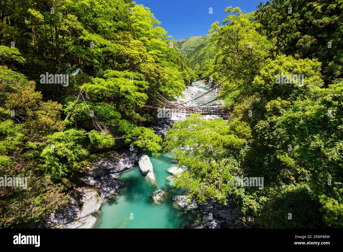 Iya kazurabashi bridge – japan hi-res stock photography and images - Alamy