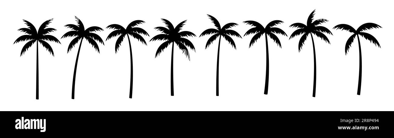 Palm tree vector silhouette coconut icon. Tropic palm tree miami black ...