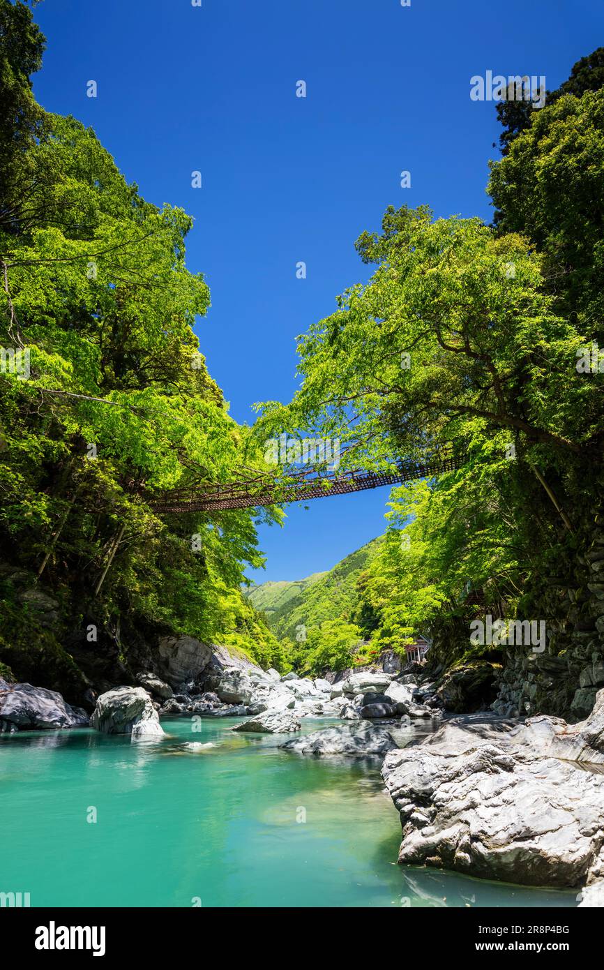 Iya kazurabashi bridge – japan hi-res stock photography and images - Alamy
