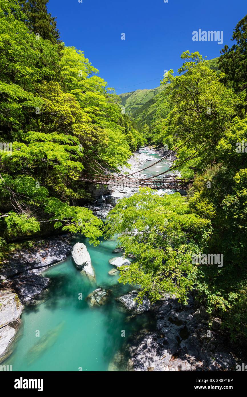 Iya kazurabashi bridge – japan hi-res stock photography and images - Alamy