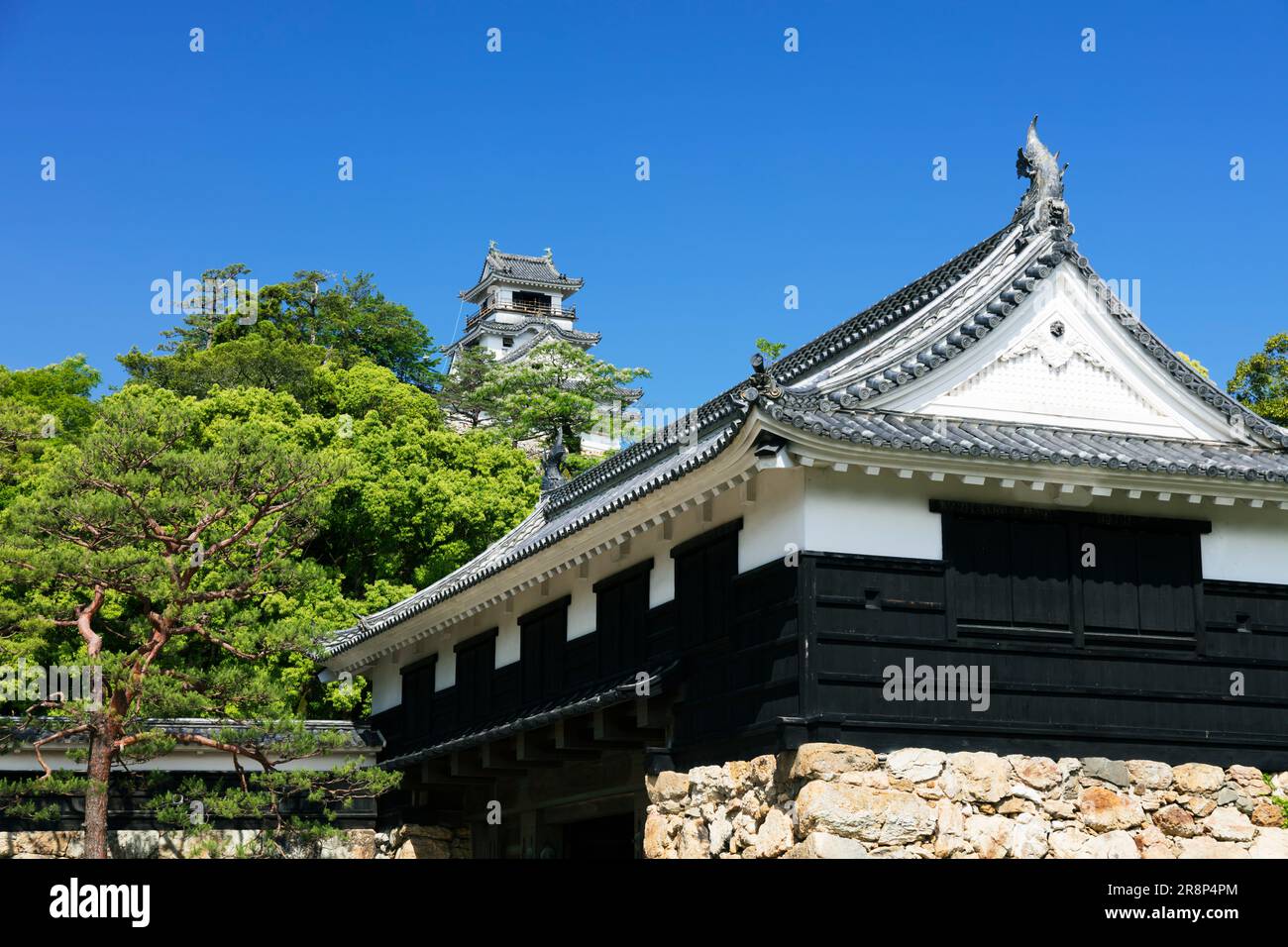 Kochi castle otemon gate hi-res stock photography and images - Alamy