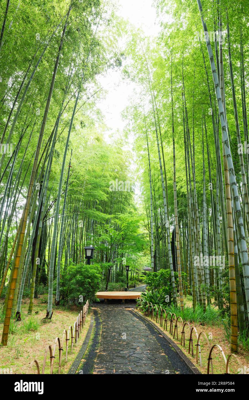 Takebayashi no michi hi-res stock photography and images - Alamy