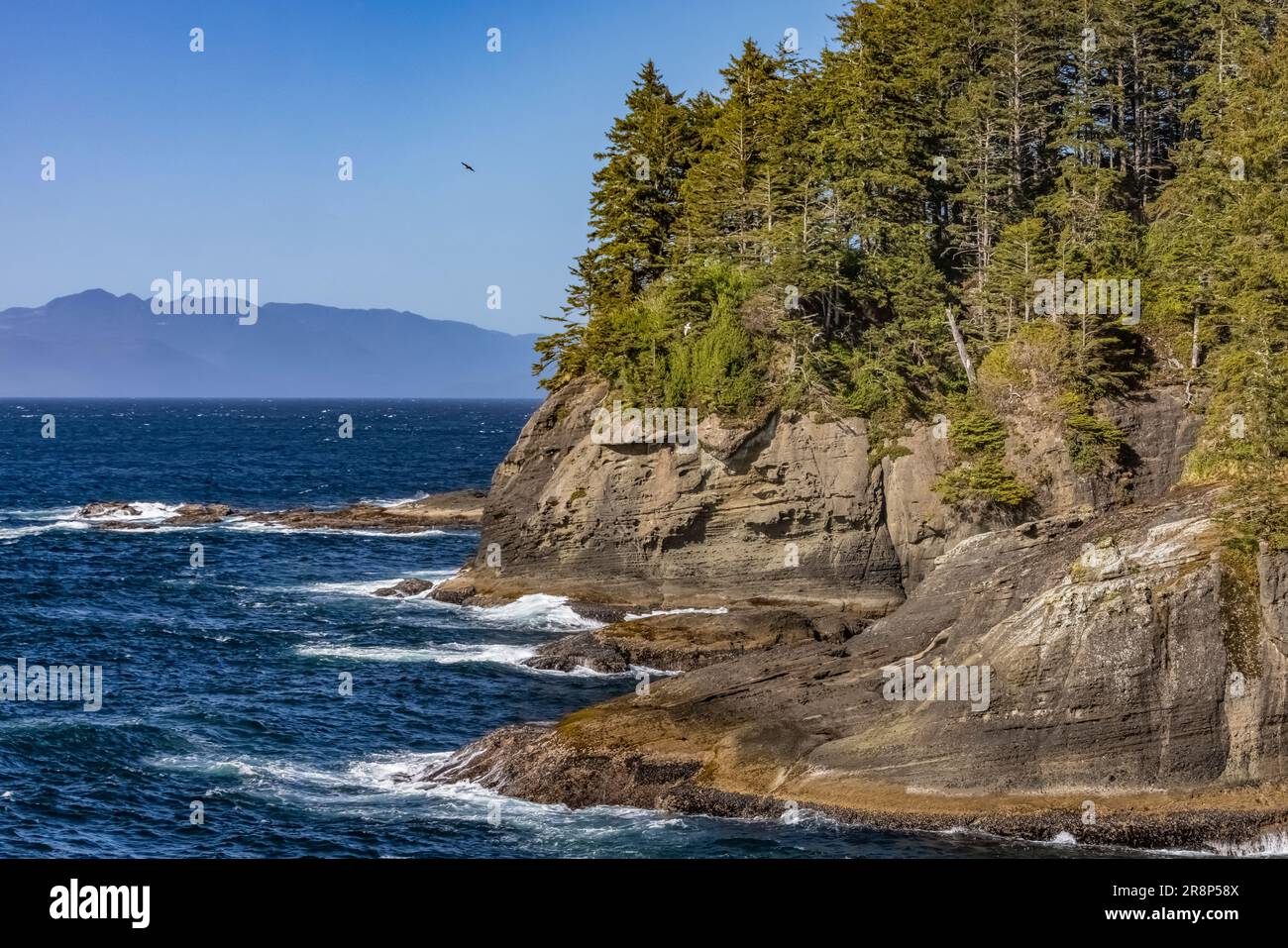 Makah Tribe Arts And Crafts