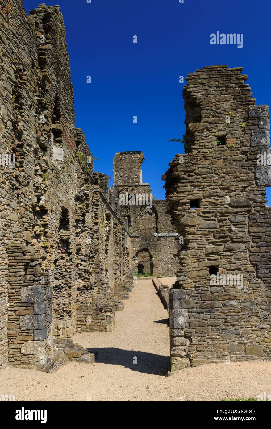 Neath abbey ruins neath south hi-res stock photography and images - Alamy