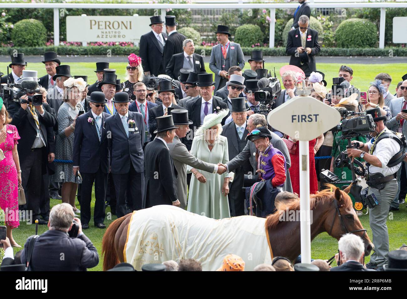 Desert hero horse hi-res stock photography and images - Alamy