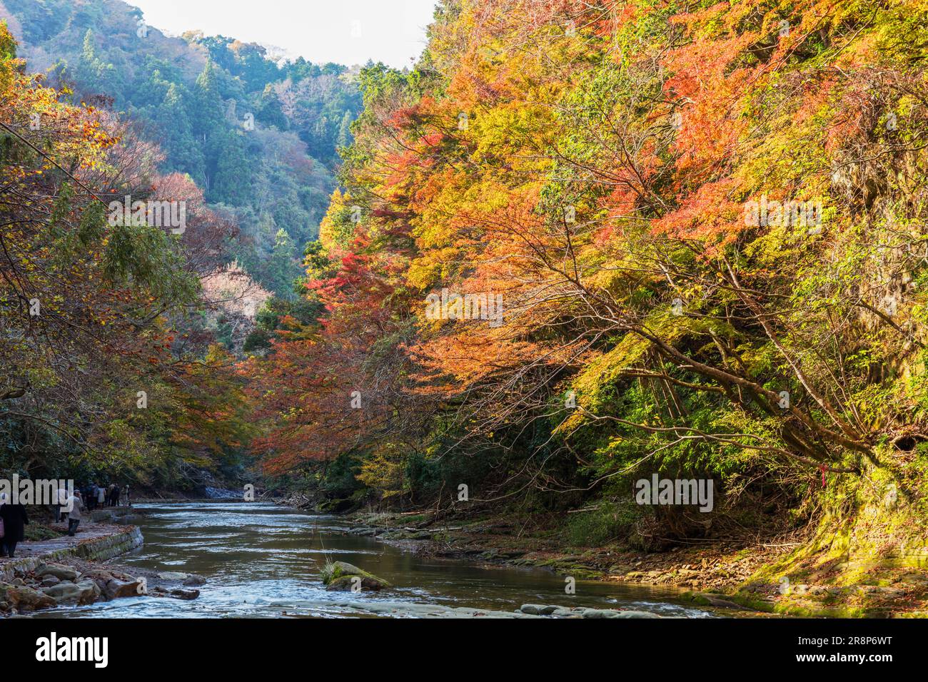 Yoro park hi-res stock photography and images - Alamy