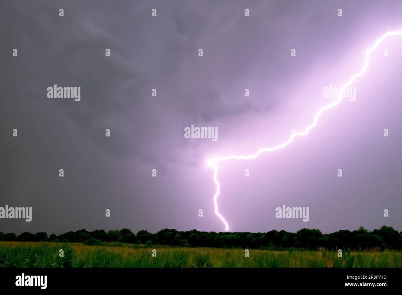 Ray. Eleven. Francisco. Storm. China. Lightning storm. Lightning bolt ...