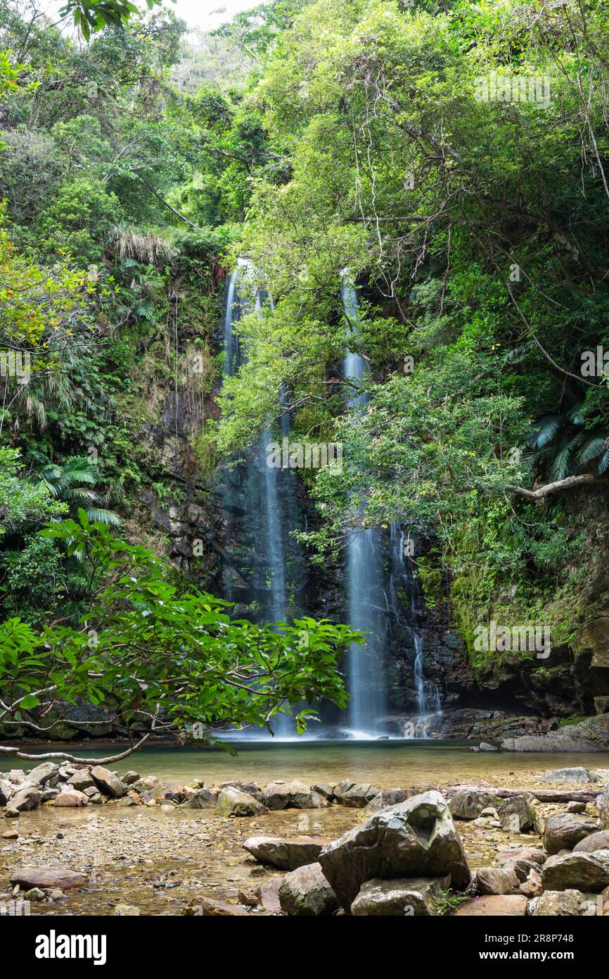 Tar island hi-res stock photography and images - Alamy