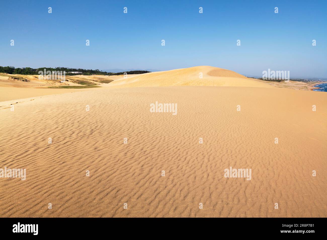 Tottori Sand Dunes Stock Photo - Alamy