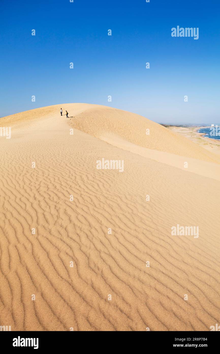 Tottori Sand Dunes Stock Photo - Alamy