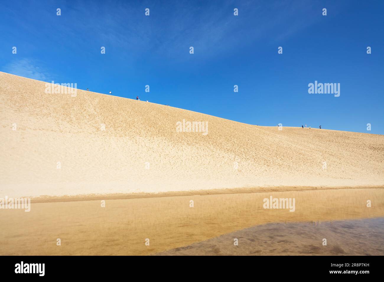 Tottori Sand Dunes Stock Photo - Alamy