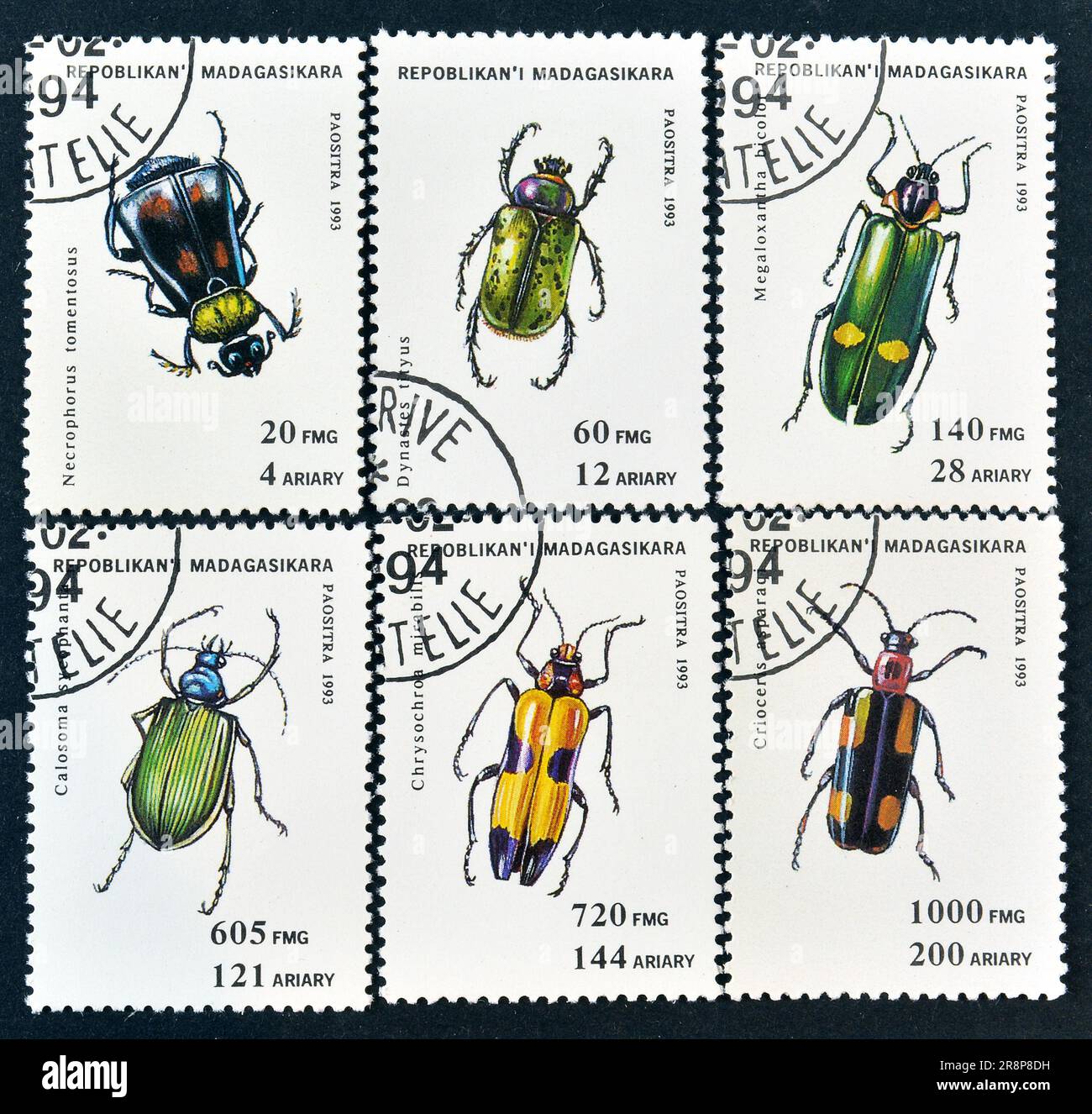 Cancelled postage stamps printed by Madagascar, that show Beetles ...