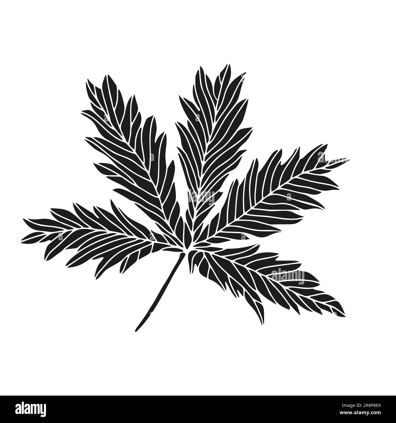 Hand drawn leaves, floral elements isolate on white background.Plants ...