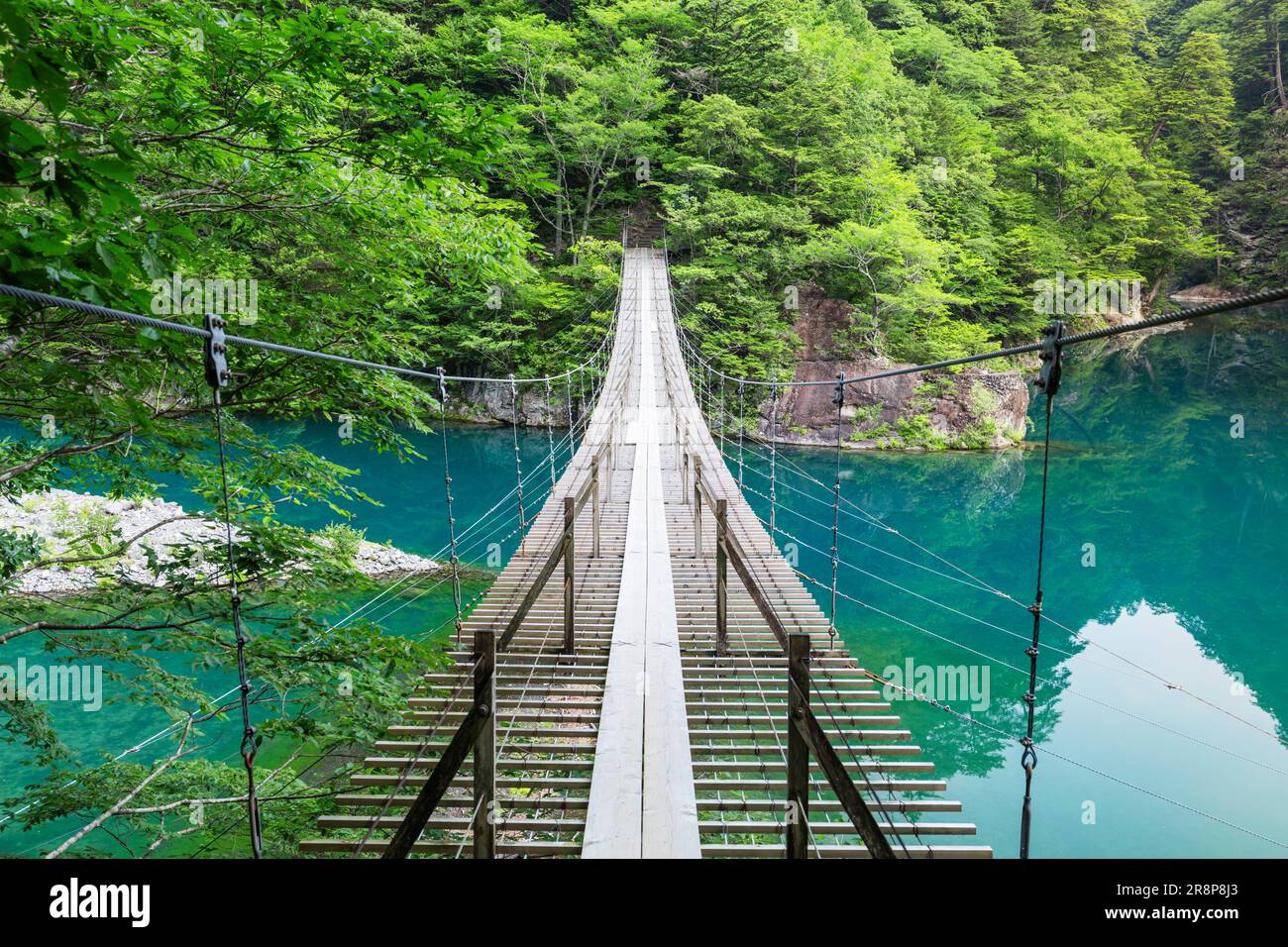 Dream Suspension Bridge in Sunmatakyo Stock Photo - Alamy