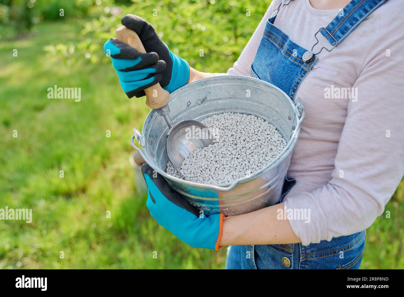 Close-up of female gardener's hand with iron bucket of granular ...