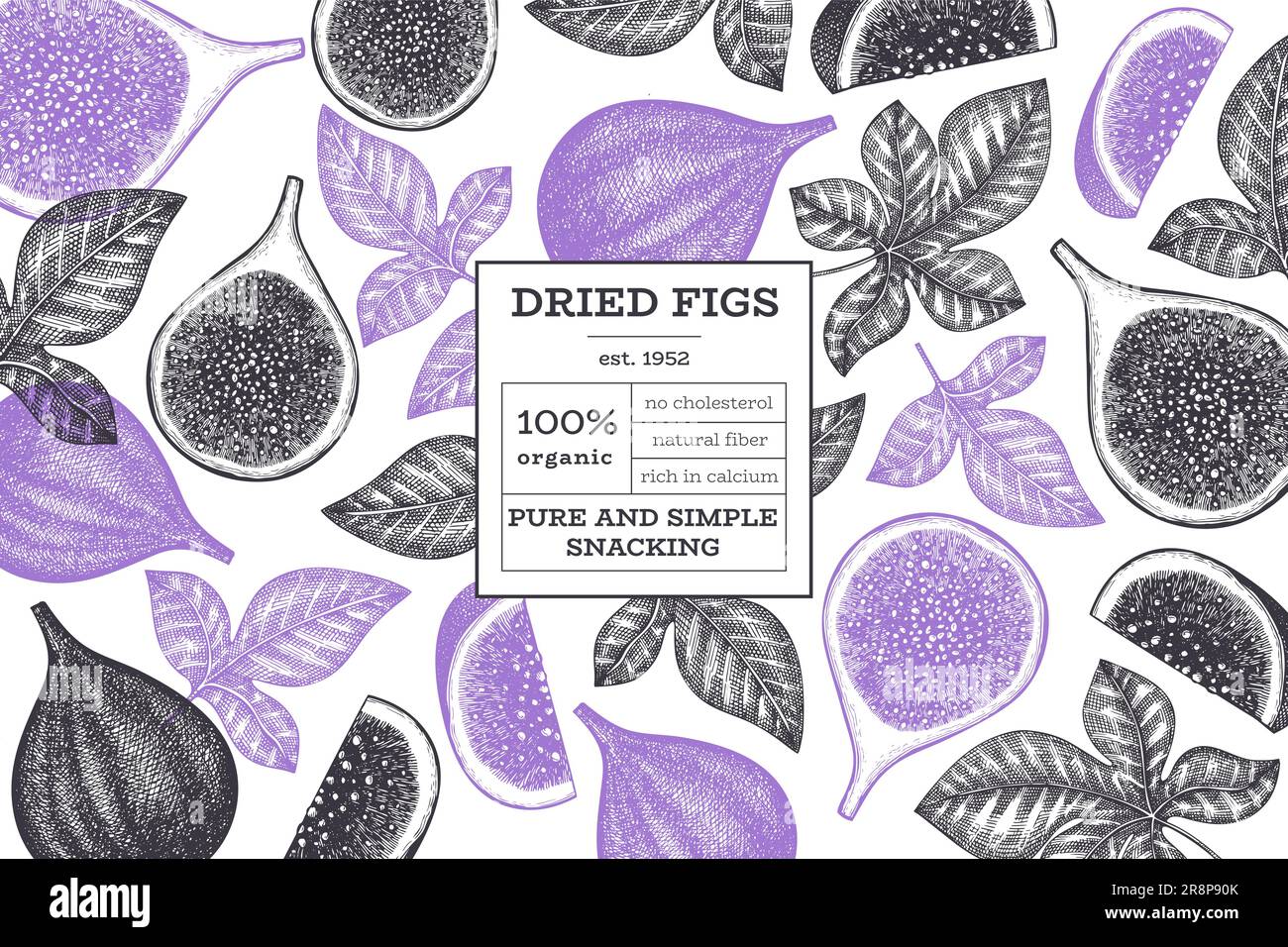 Hand drawn fig fruits design template. Organic fresh food vector ...