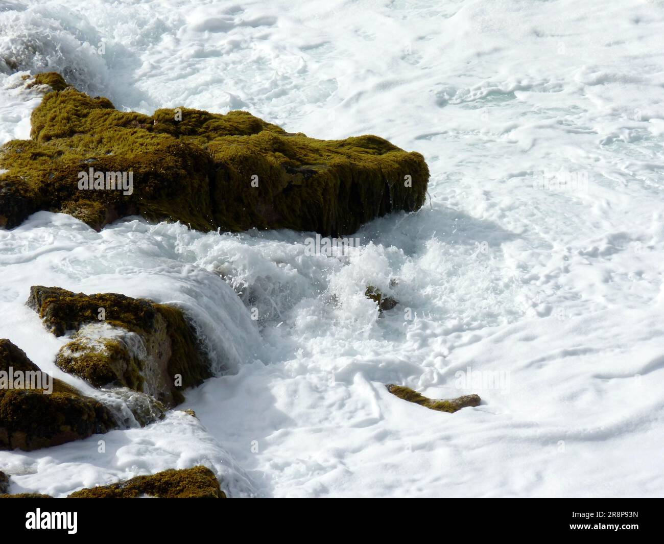 Atlantic ocean rocks overgrown with moss and seaweed washed over by ...