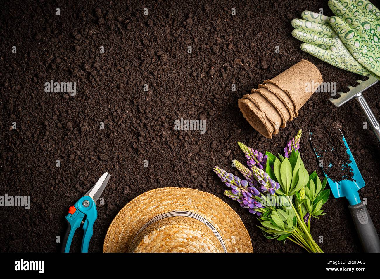 Garden tools and plants Stock Photo - Alamy