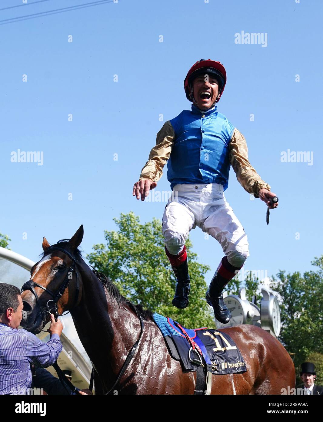 Courage mon ami ascot hi-res stock photography and images - Alamy