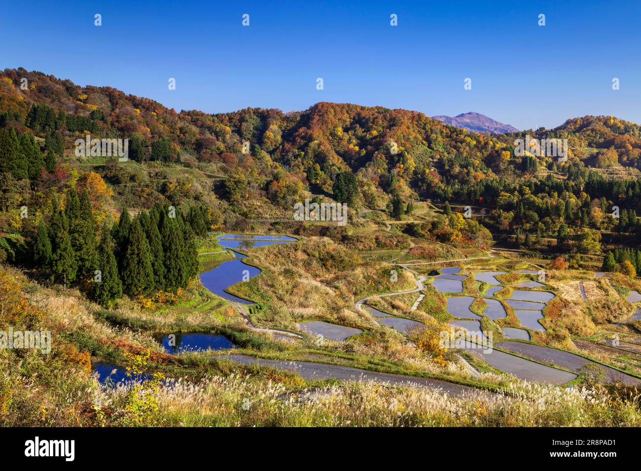 Rice terraces of Hoshitoge Stock Photo - Alamy