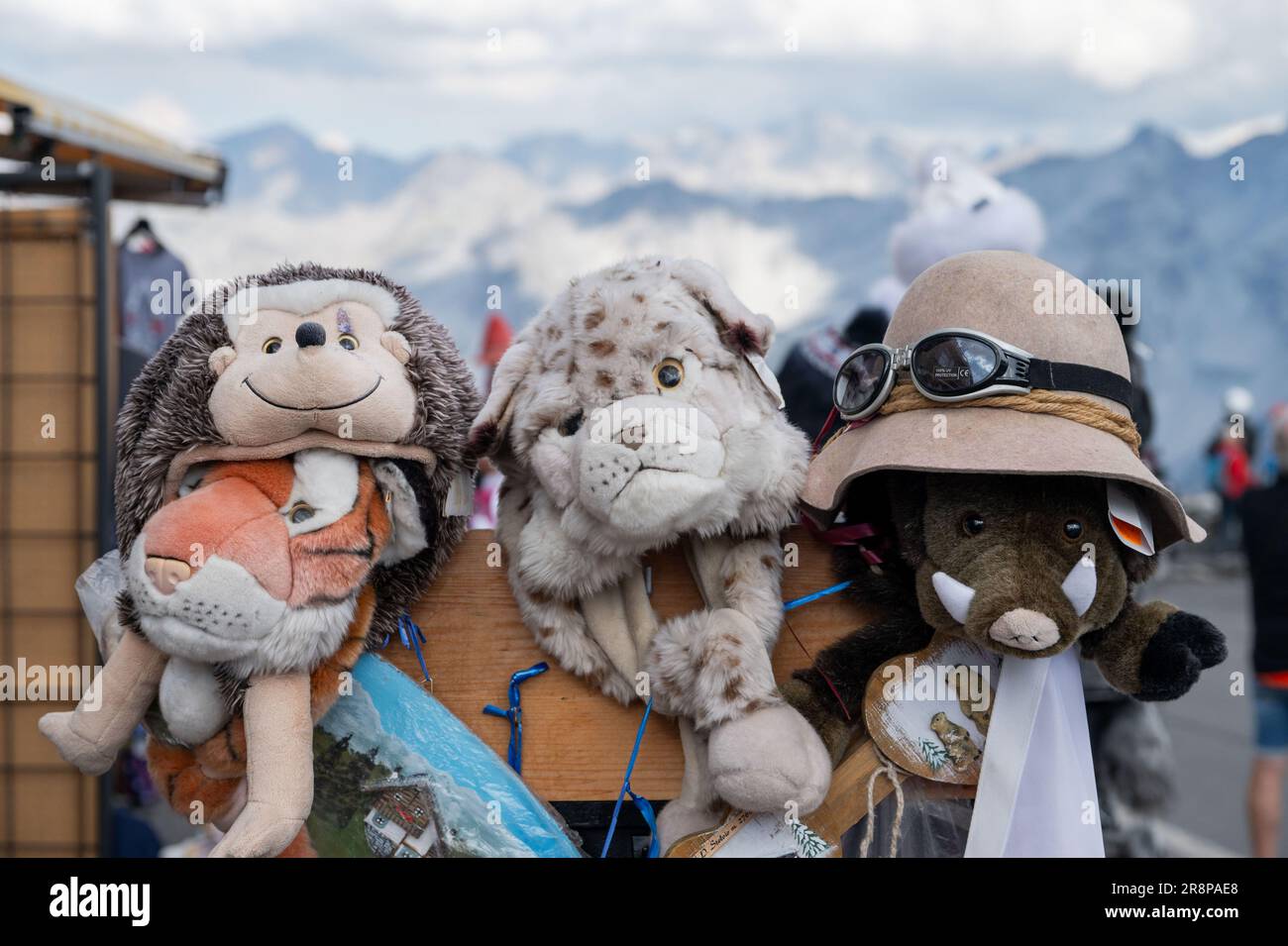 Bormio, the small mountain top town at the top of the Stelvio Pass from ...