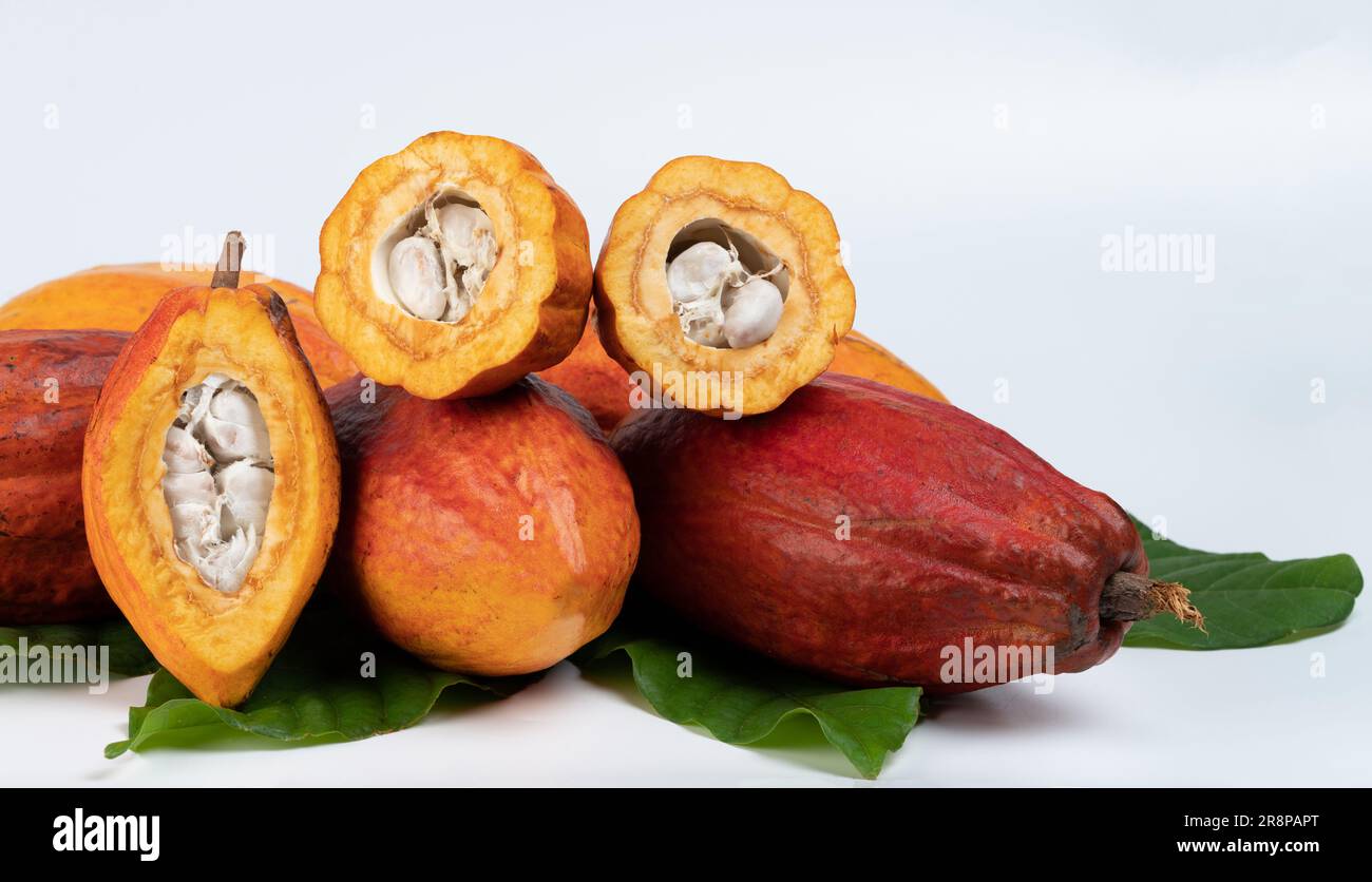 Sliced cacao orange pods arranged in group isolated on white studio ...