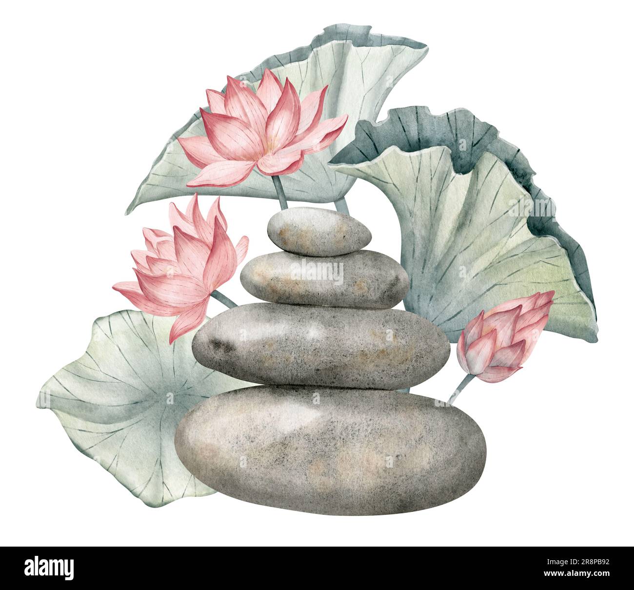 Stack of flat Pebbles with pink Lotuses and leaves. Hand drawn ...