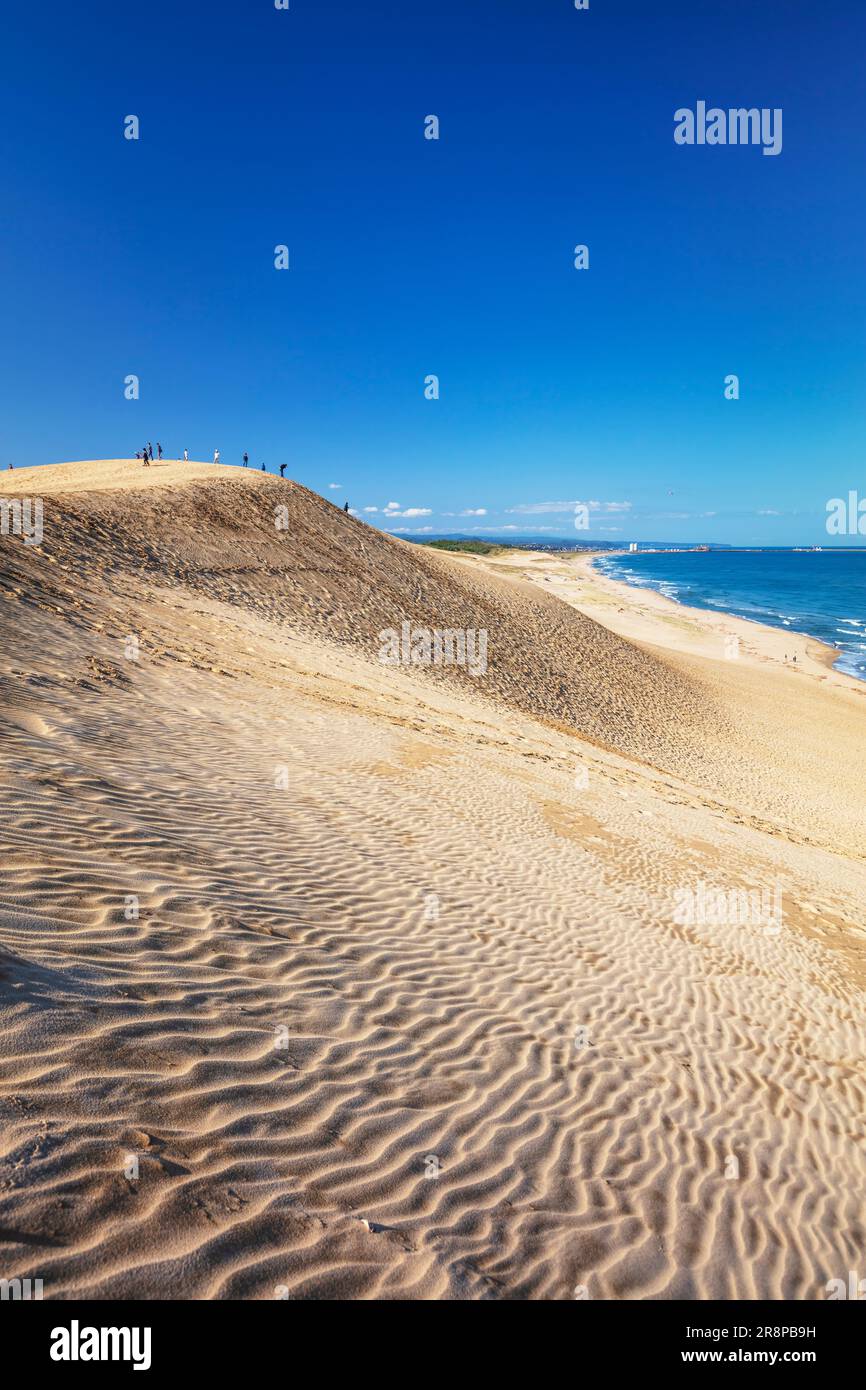 Tottori Sand Dunes and the Sea of Japan Stock Photo - Alamy