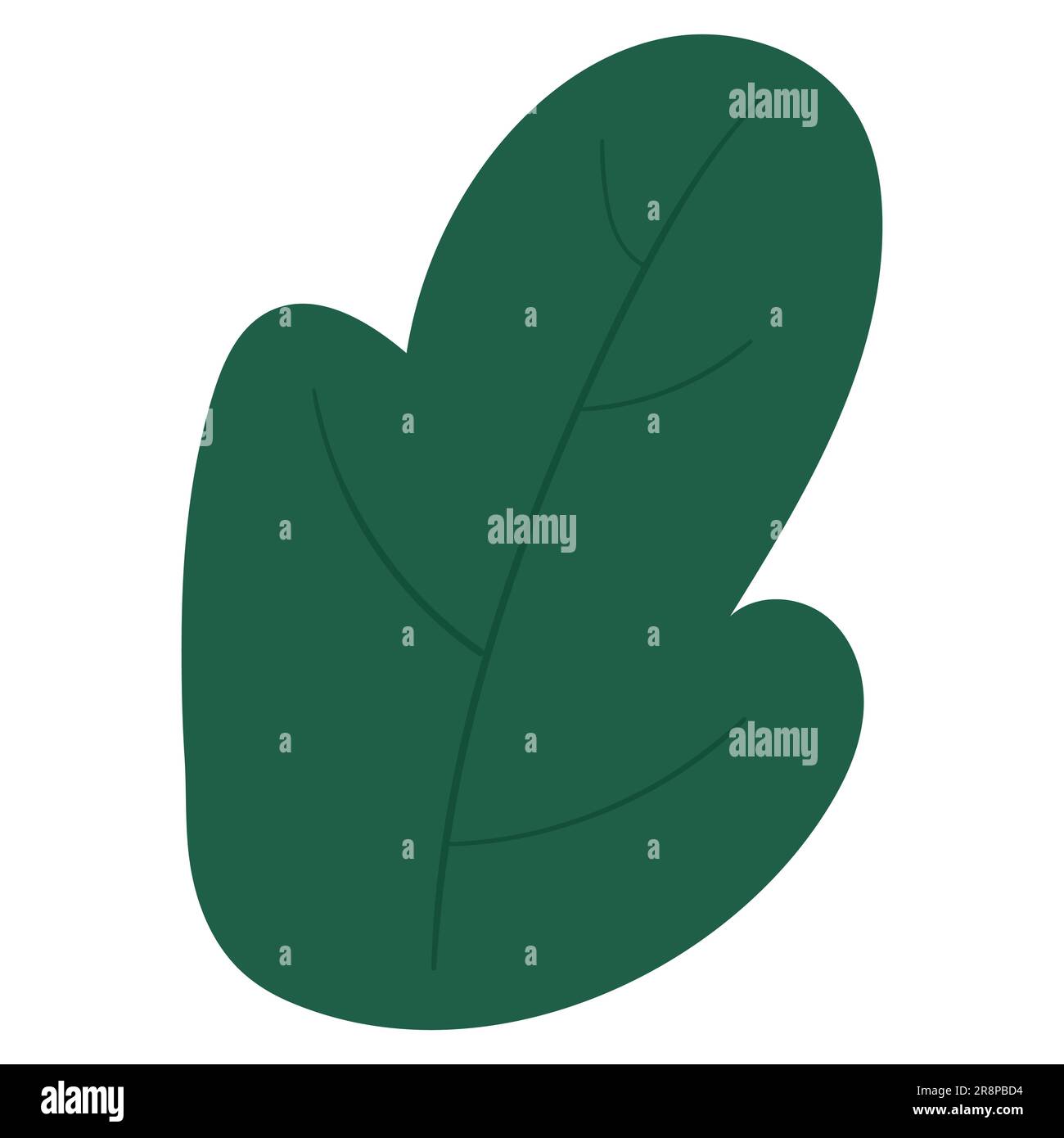 Hand drawn colored flat green tropical leave. vector illustration ...