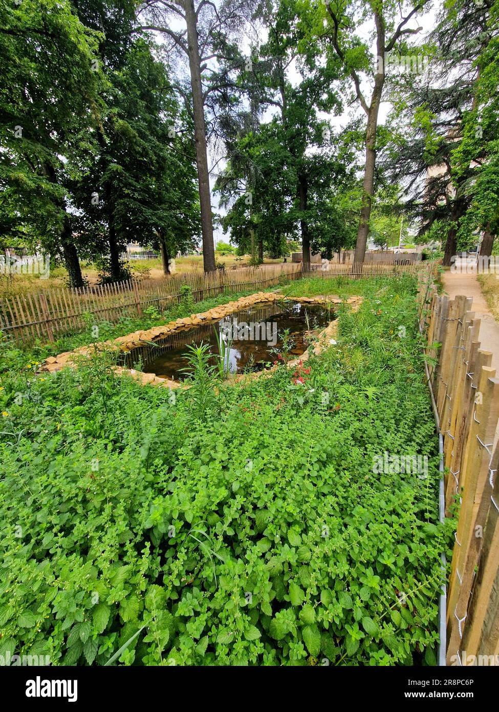 Human made pond hi-res stock photography and images - Alamy