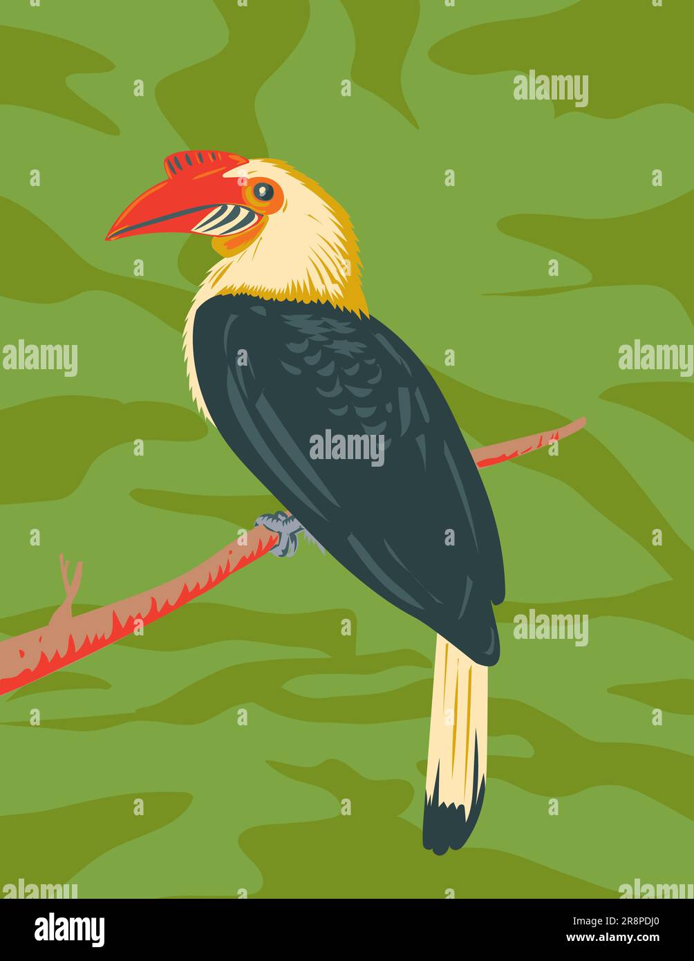 WPA poster art of the Mindanao Wrinkled Hornbill Aceros leucocephalus ...