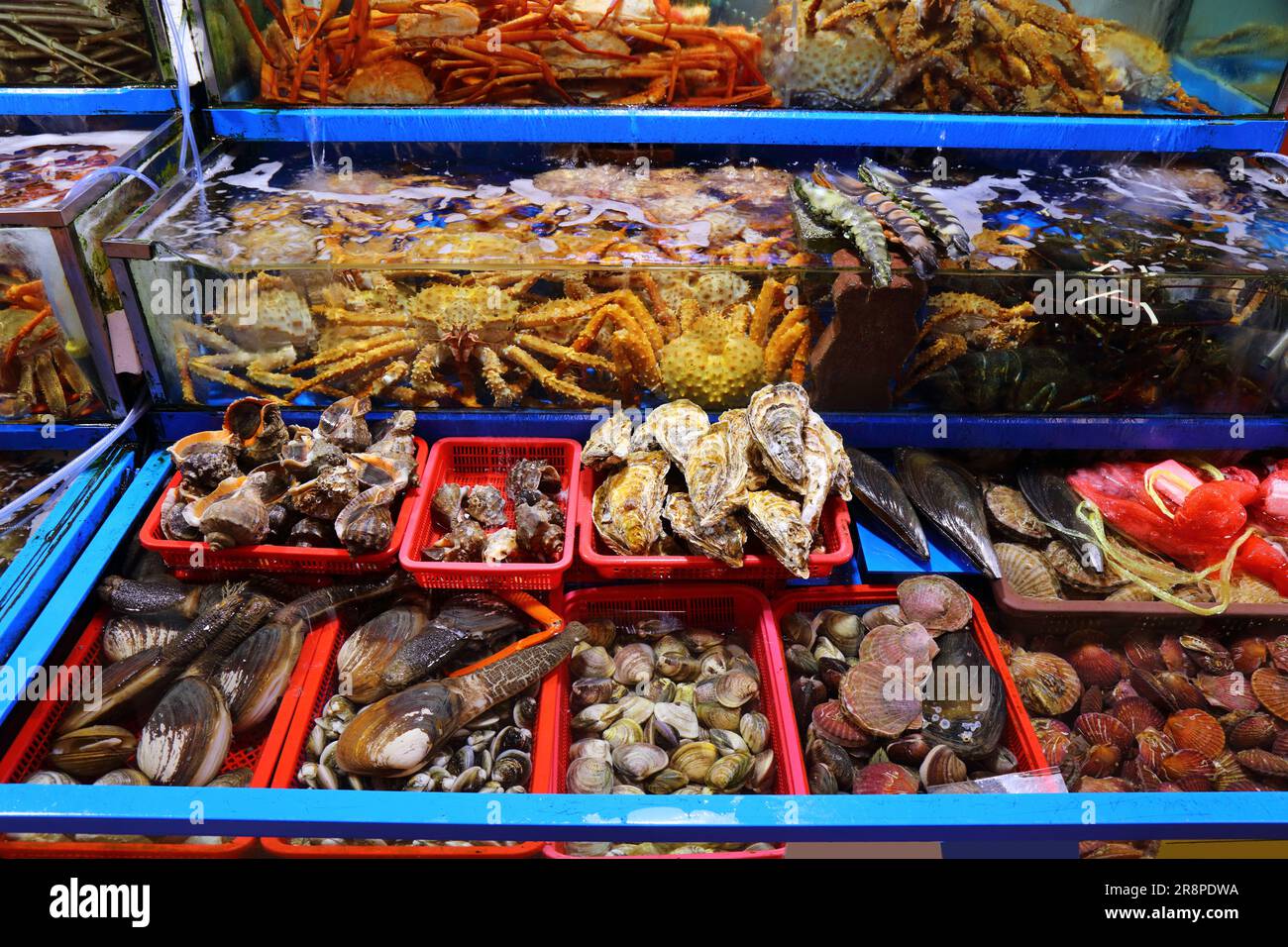 Fish market in Seoul, South Korea. Shellfish at Noryangjin Fish Market ...