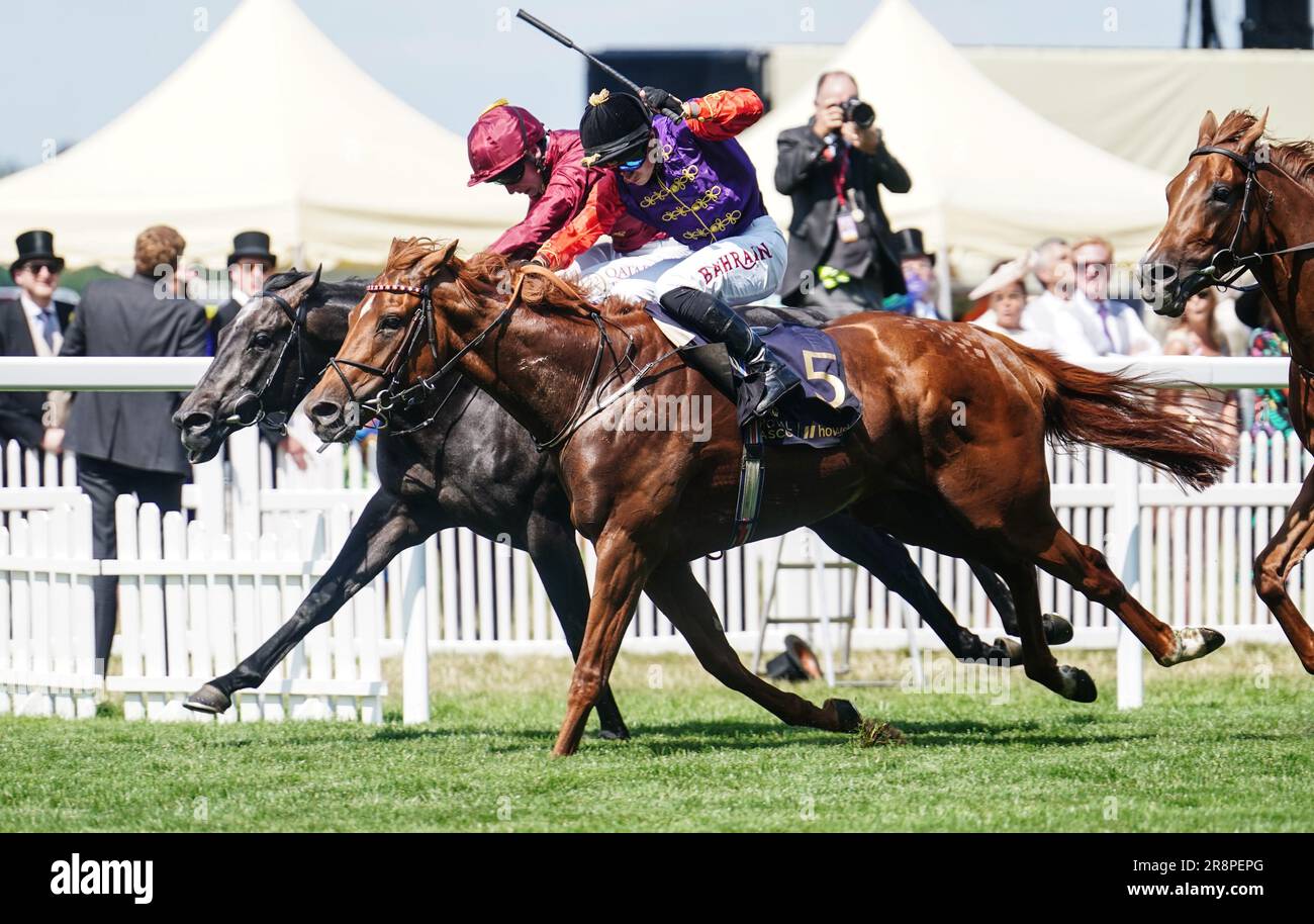Desert hero ascot hi-res stock photography and images - Alamy