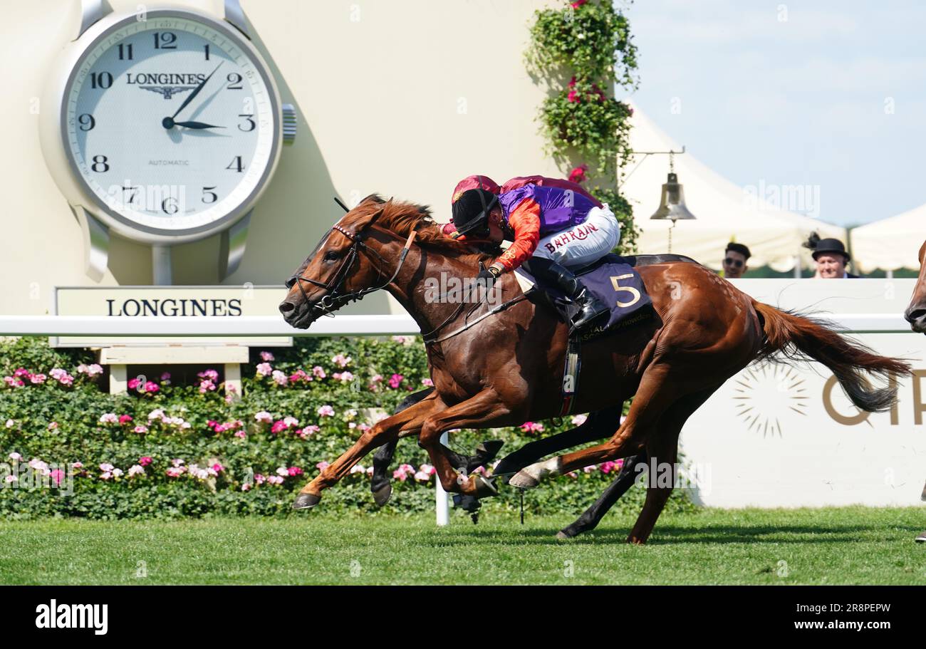 Desert hero ascot hi-res stock photography and images - Alamy