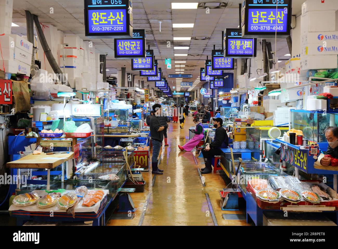 SEOUL, SOUTH KOREA - APRIL 5, 2023: People visit Noryangjin Fisheries ...